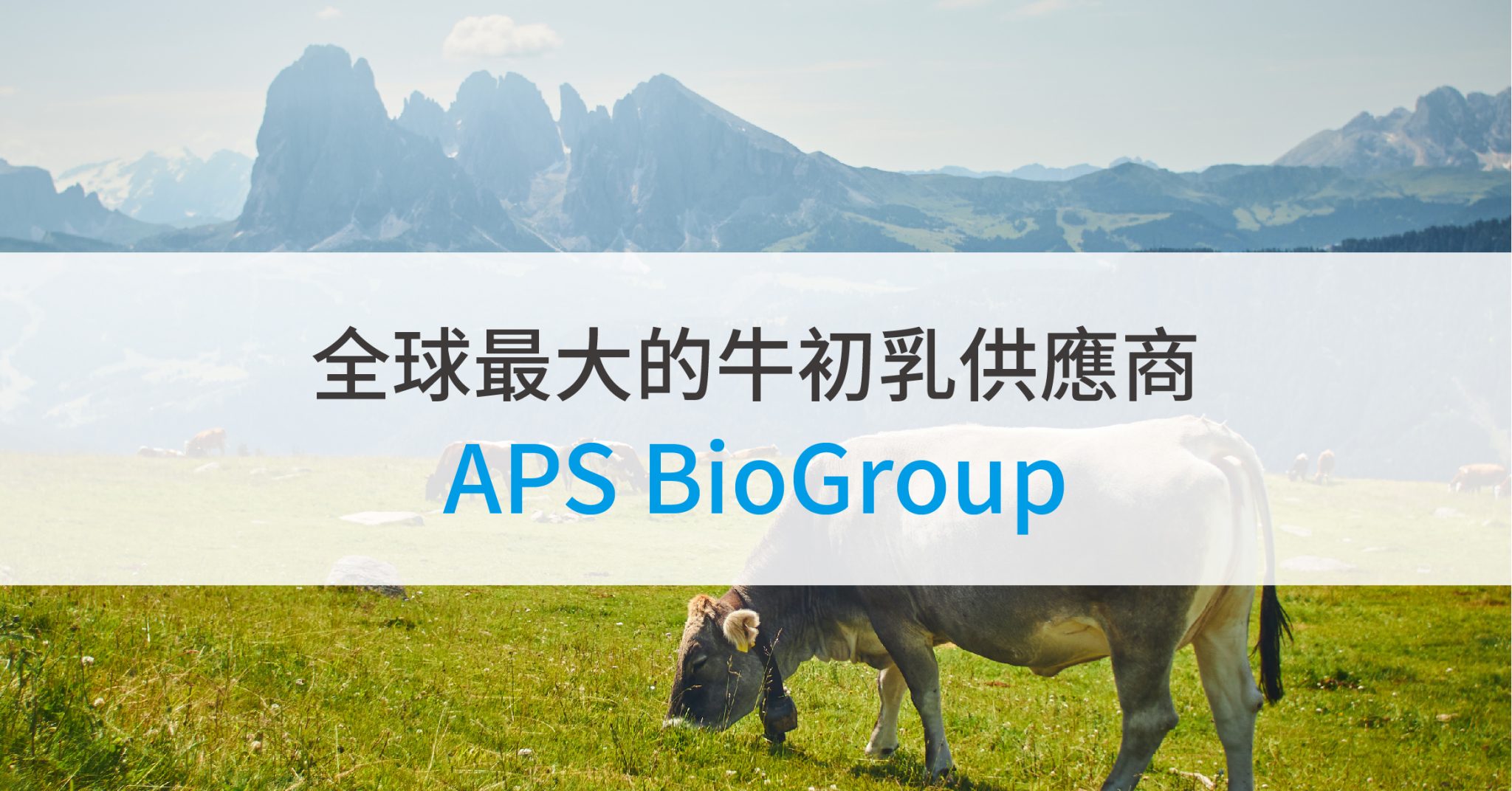 全球最大的牛初乳供應商「APS BioGroup」 – wikibionome